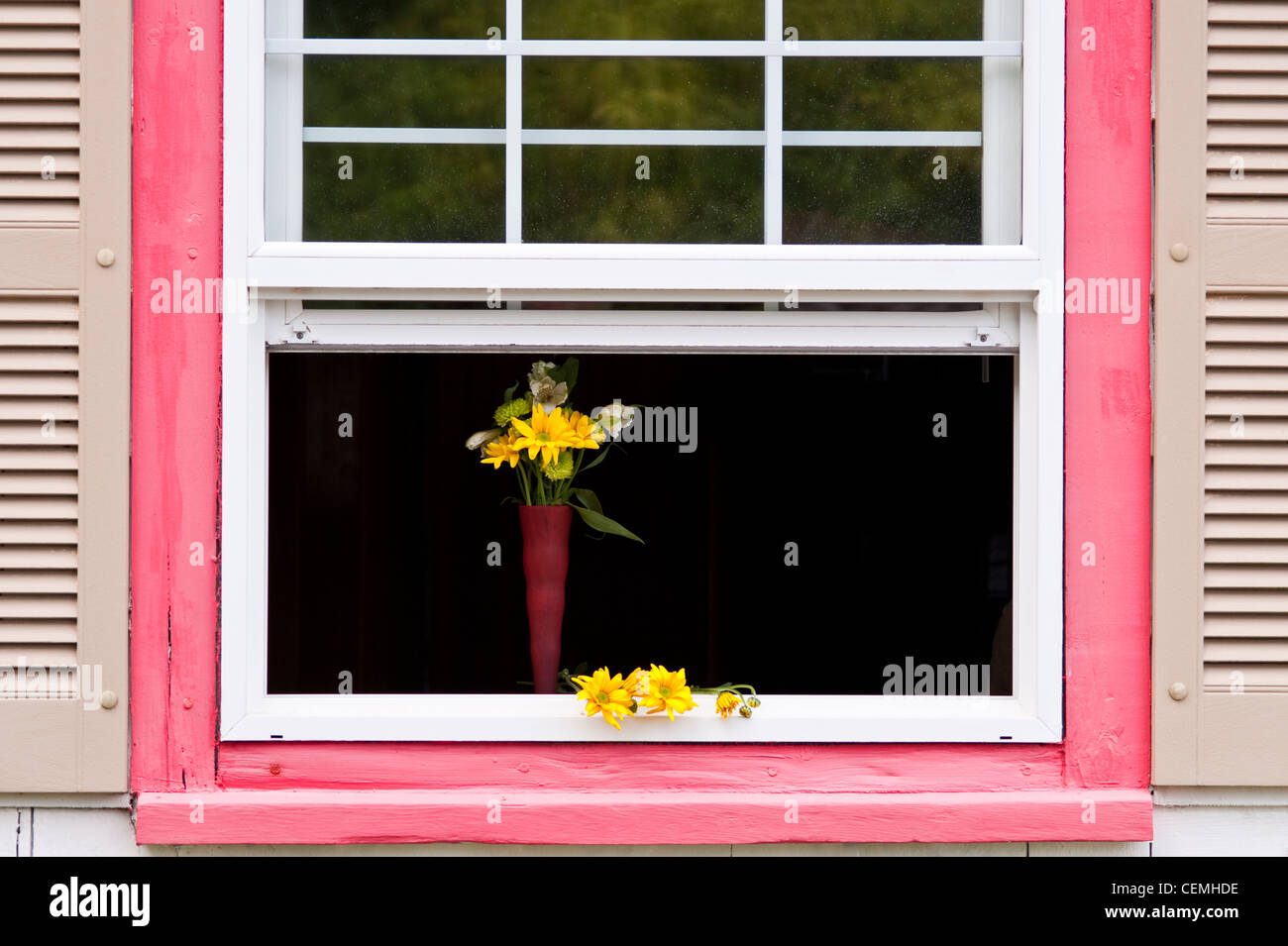 Open window with yellow and green flowers in vase with window shutters ...