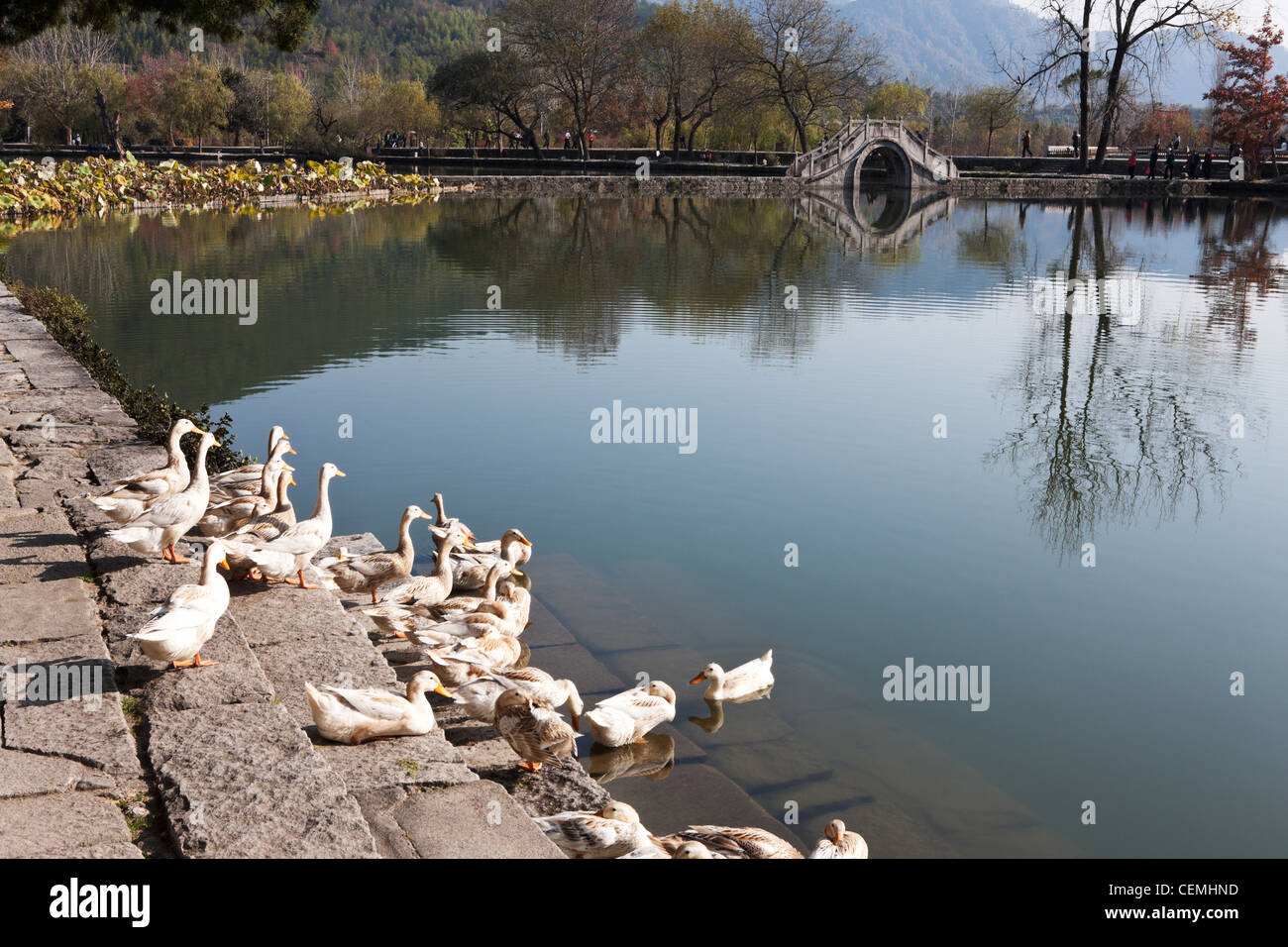 China，Asia，river，scenics，day，water，Chinese Culture，tourism，tree ...