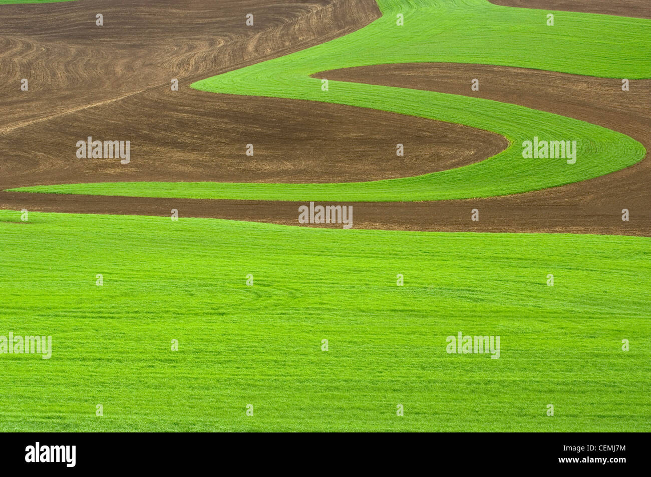 Growing plowing patterns in fields hi-res stock photography and images ...