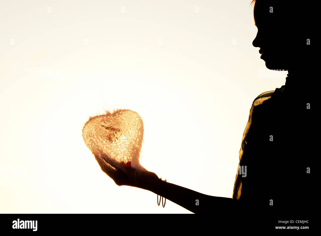 Exploding heart hi-res stock photography and images - Alamy