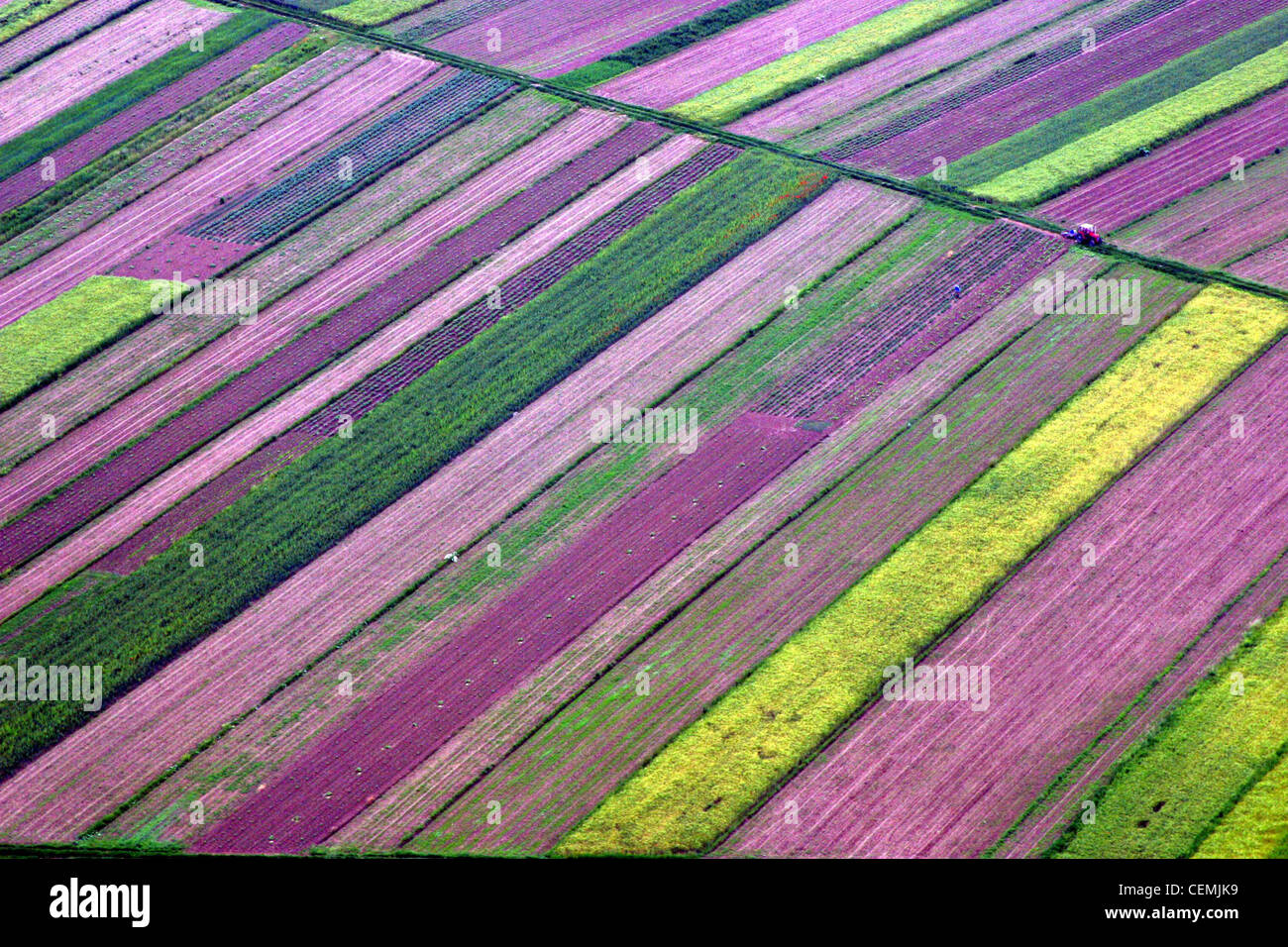Abstract landscape, Aerial view of colorful fields Stock Photo - Alamy