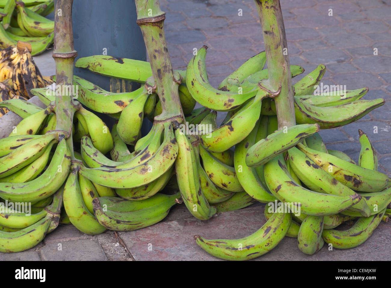 Lifeindigenous hi-res stock photography and images - Alamy