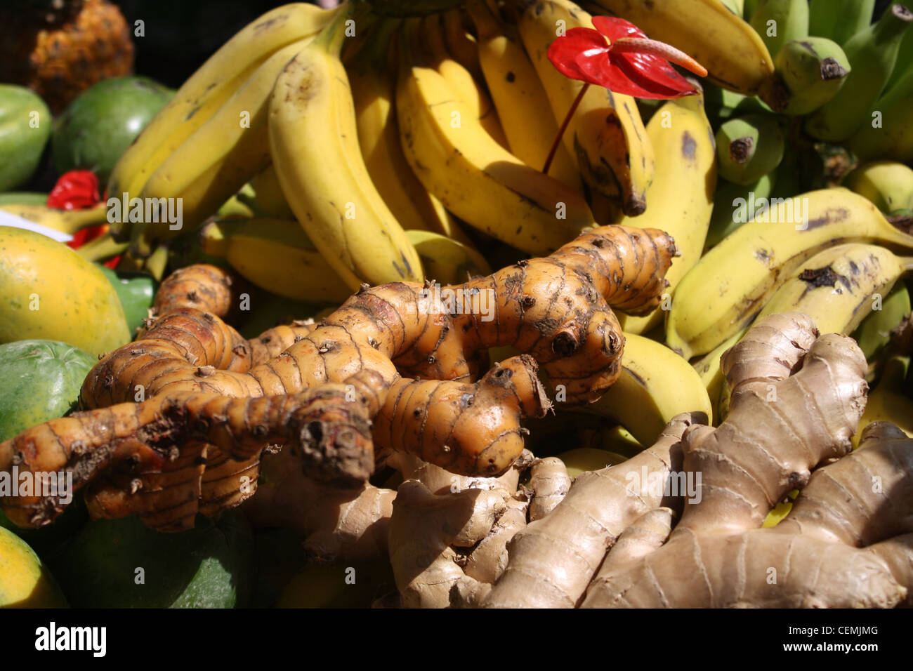 Ginger Root on Display in Kailua Kona Hawaii Market Stock Photo - Alamy