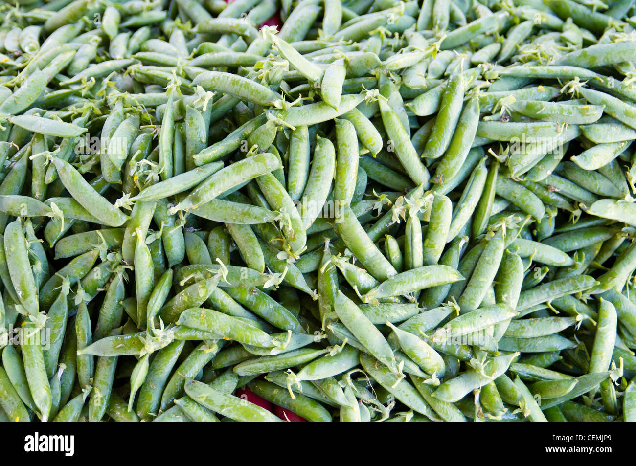 Freshly harvested peas on display at the farmers market Stock Photo - Alamy