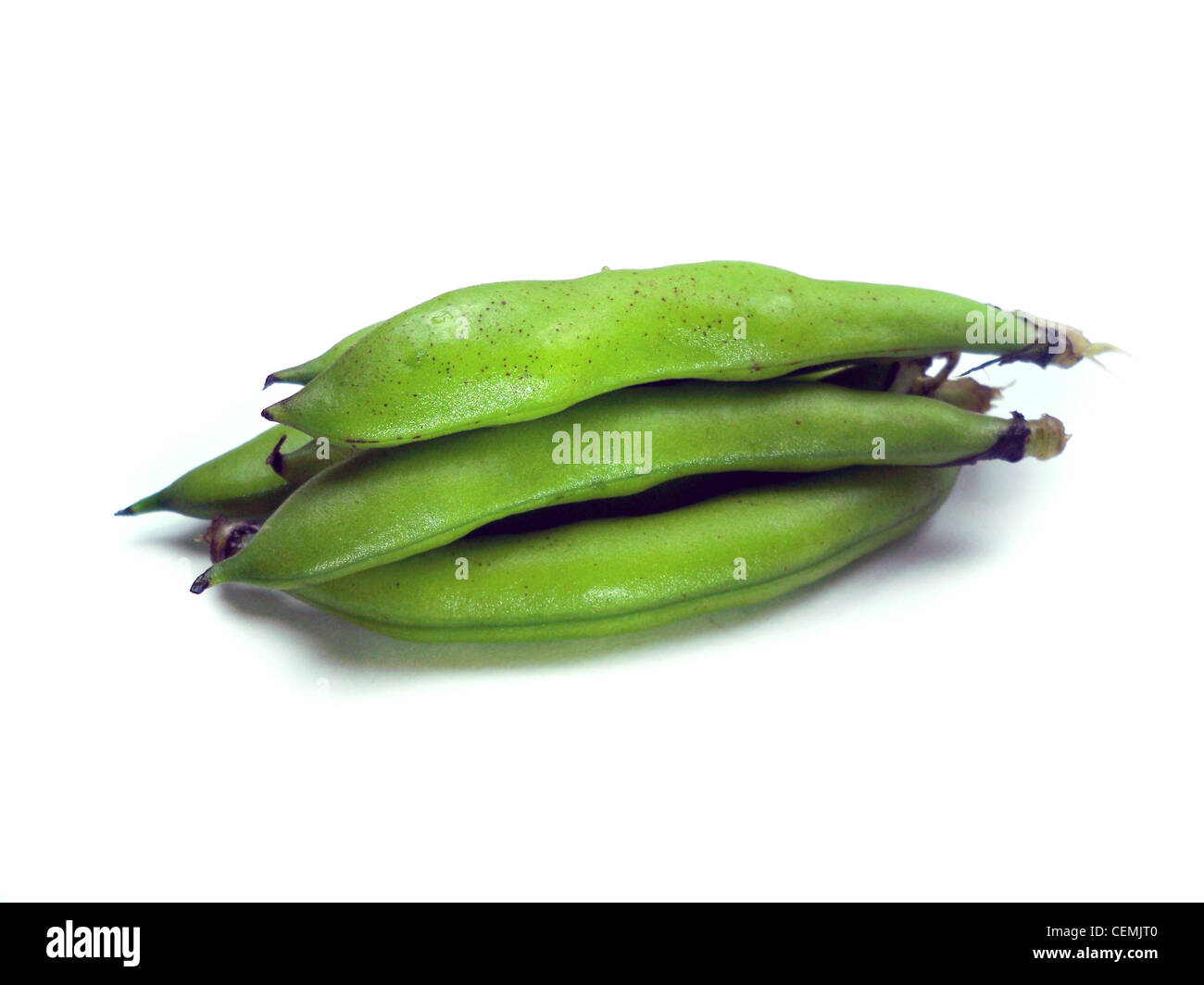 bunch of broad beans on a white background Stock Photo - Alamy