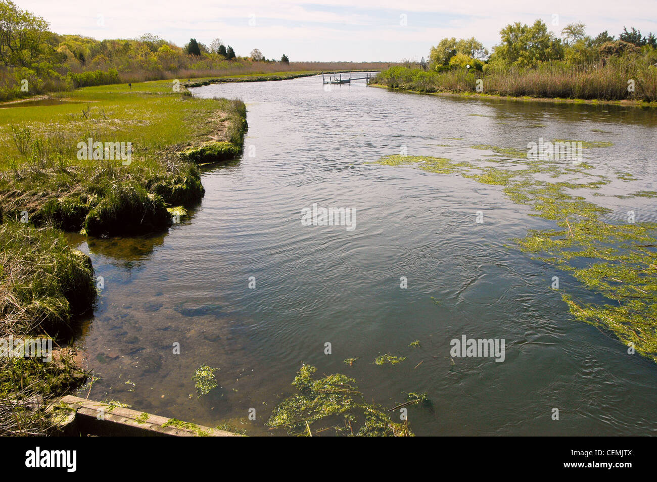 Moriches, New York Stock Photo - Alamy