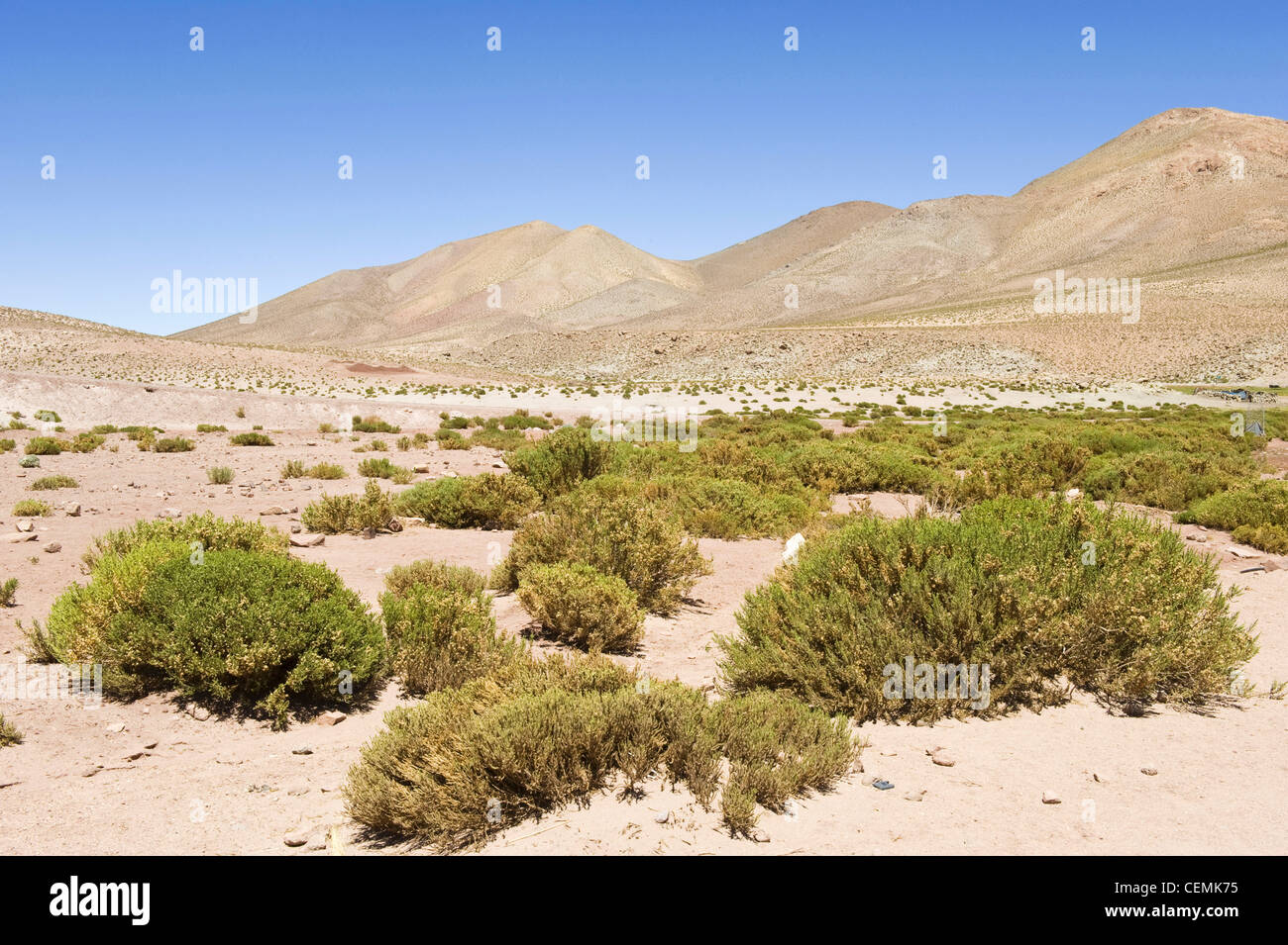 Atacama desert hi-res stock photography and images - Alamy