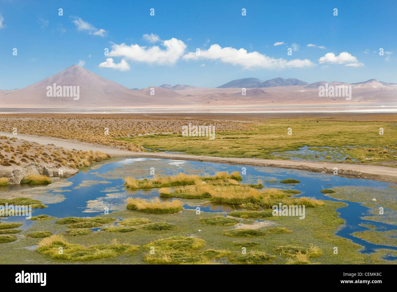 Laguna colorada landscape hi-res stock photography and images - Alamy