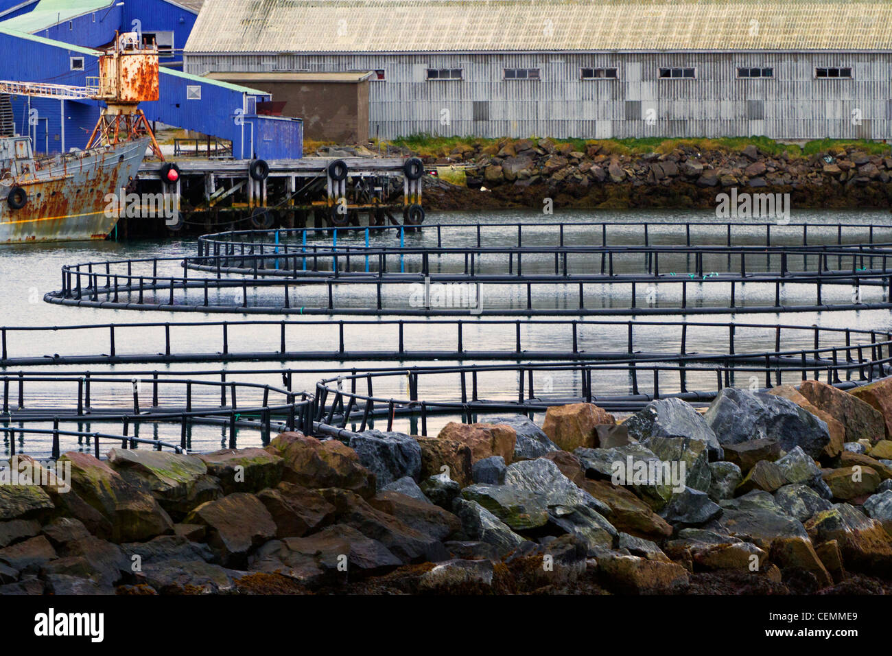 Fish farm on the outskirts of Vadso, Norway Stock Photo - Alamy