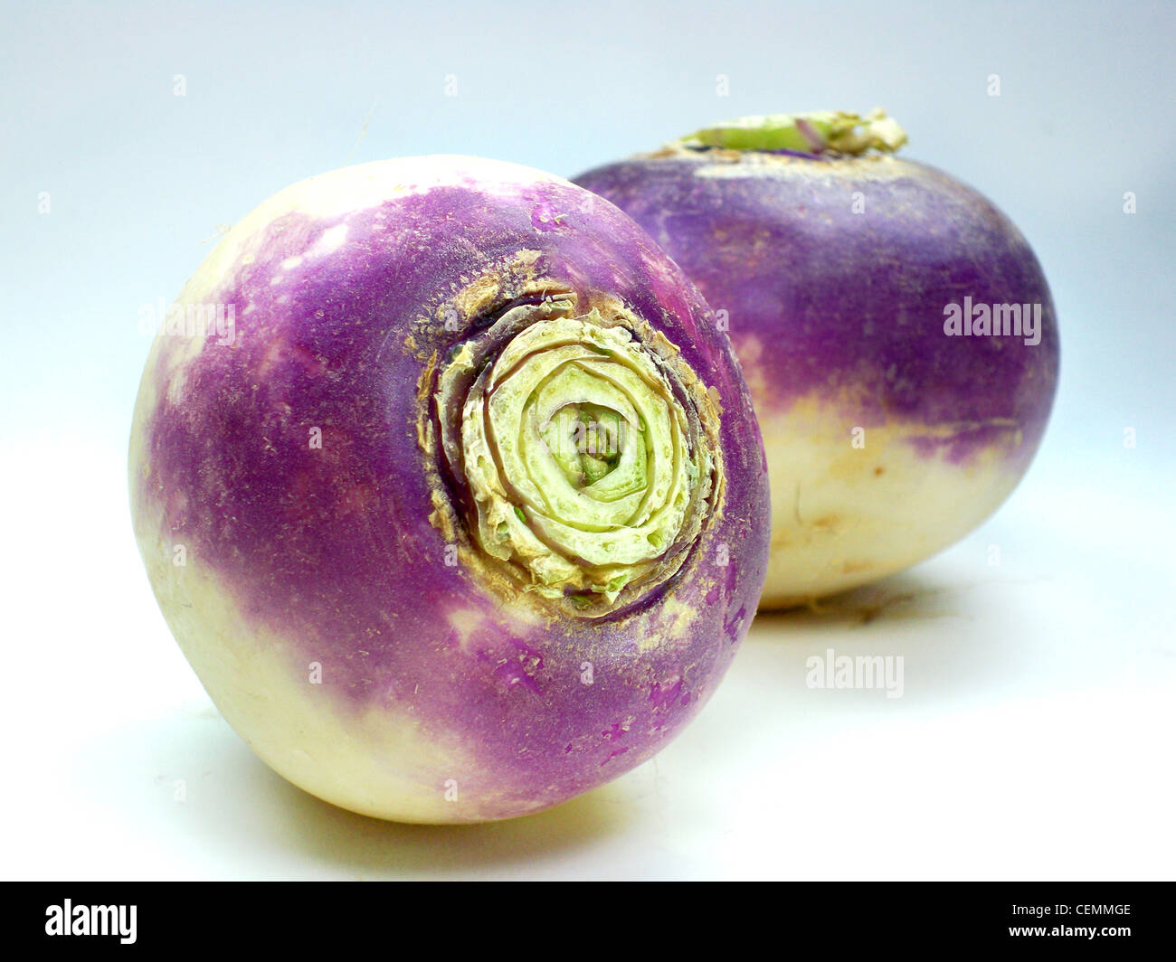 purple headed turnips isolated on white background Stock Photo - Alamy