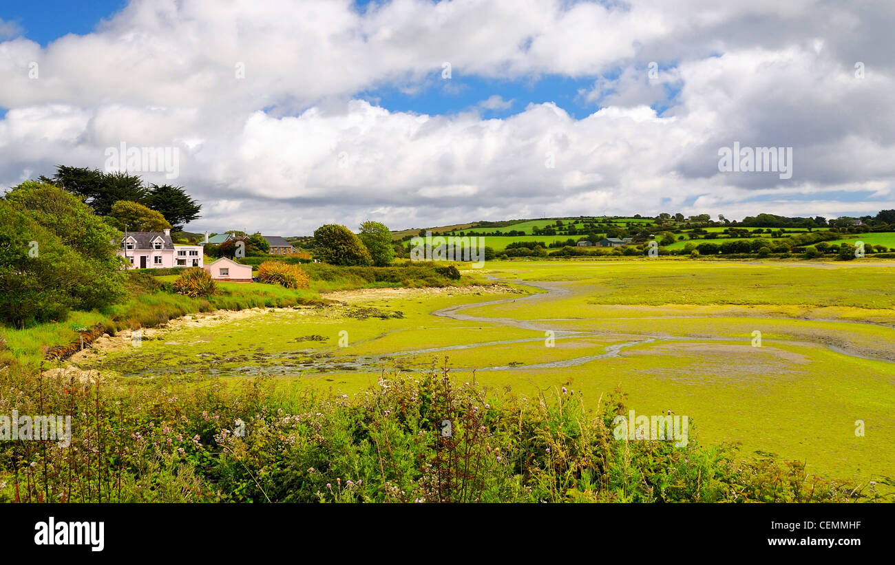 County cork countryside hi-res stock photography and images - Alamy