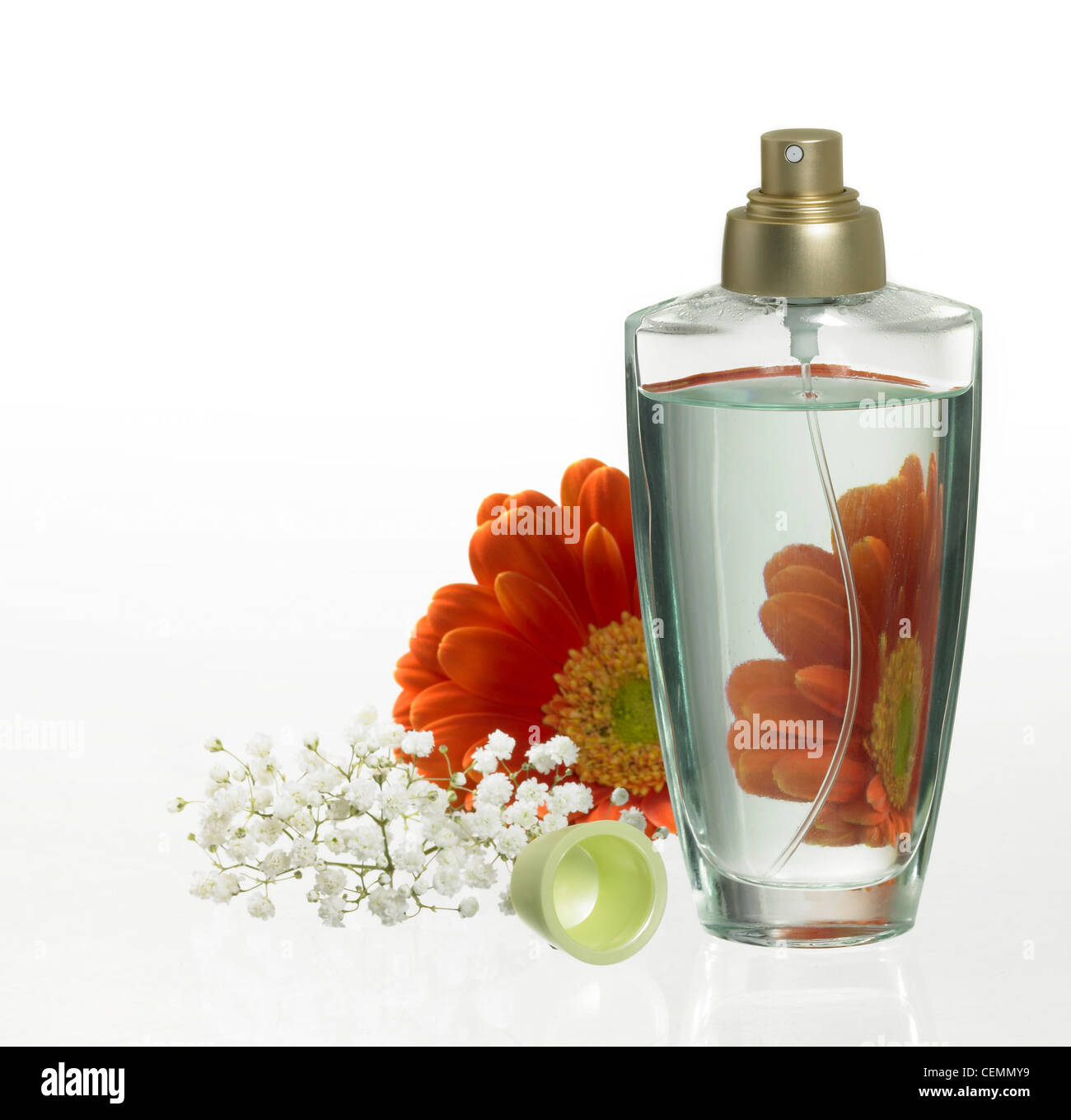 studio photography of a perfume bottle and flowers in light back Stock ...
