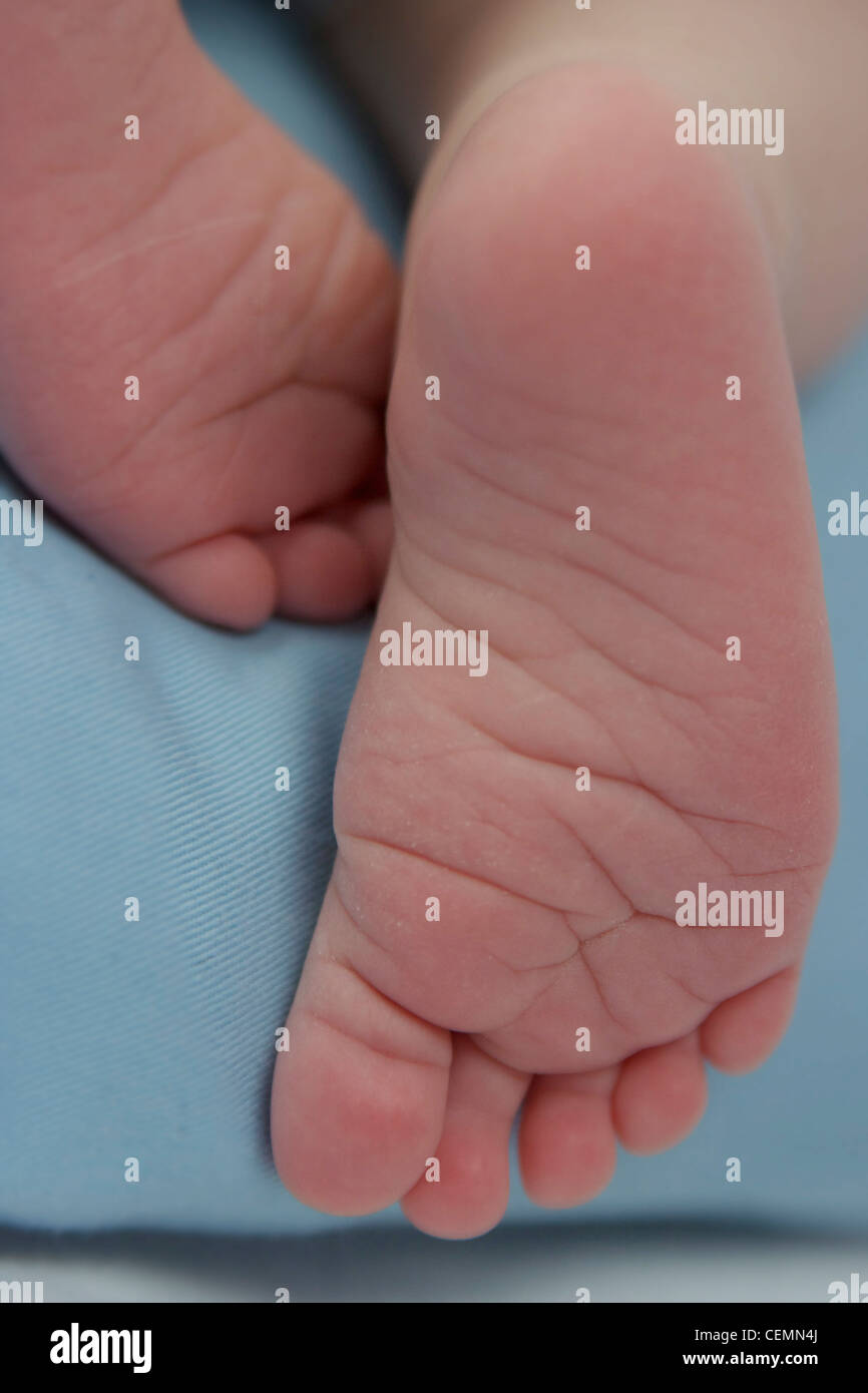 Little Toe Stock Photos & Little Toe Stock Images - Alamy