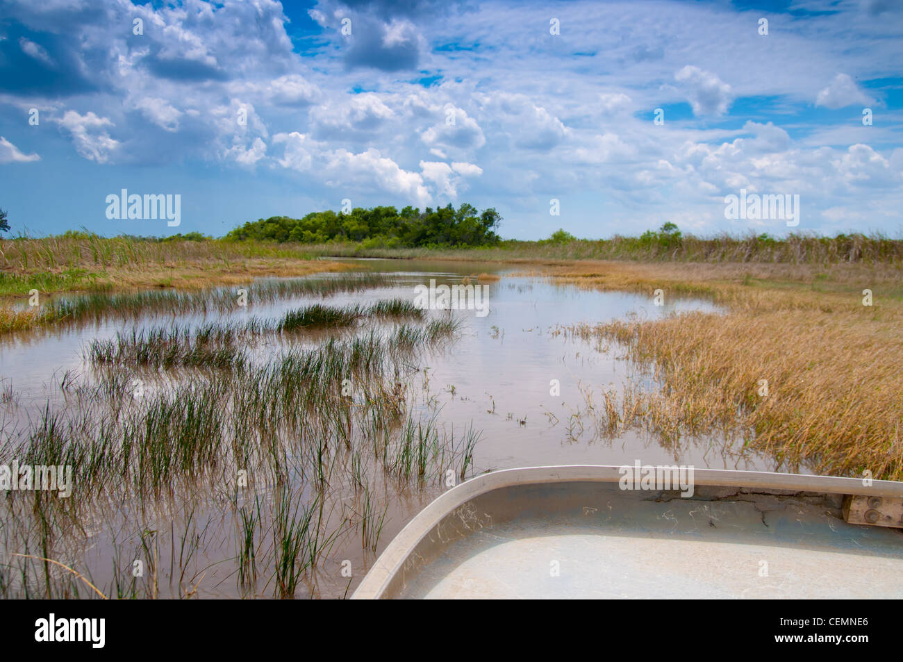 Everglades national park marshes from a boat Stock Photo - Alamy