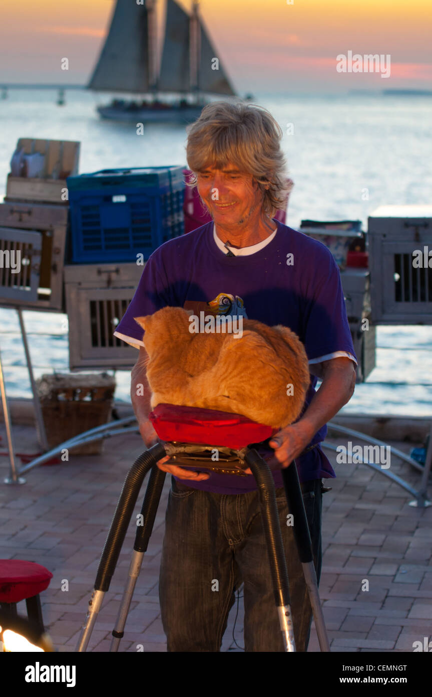 Dominique on Key West Mallory Square and cats show Stock Photo - Alamy