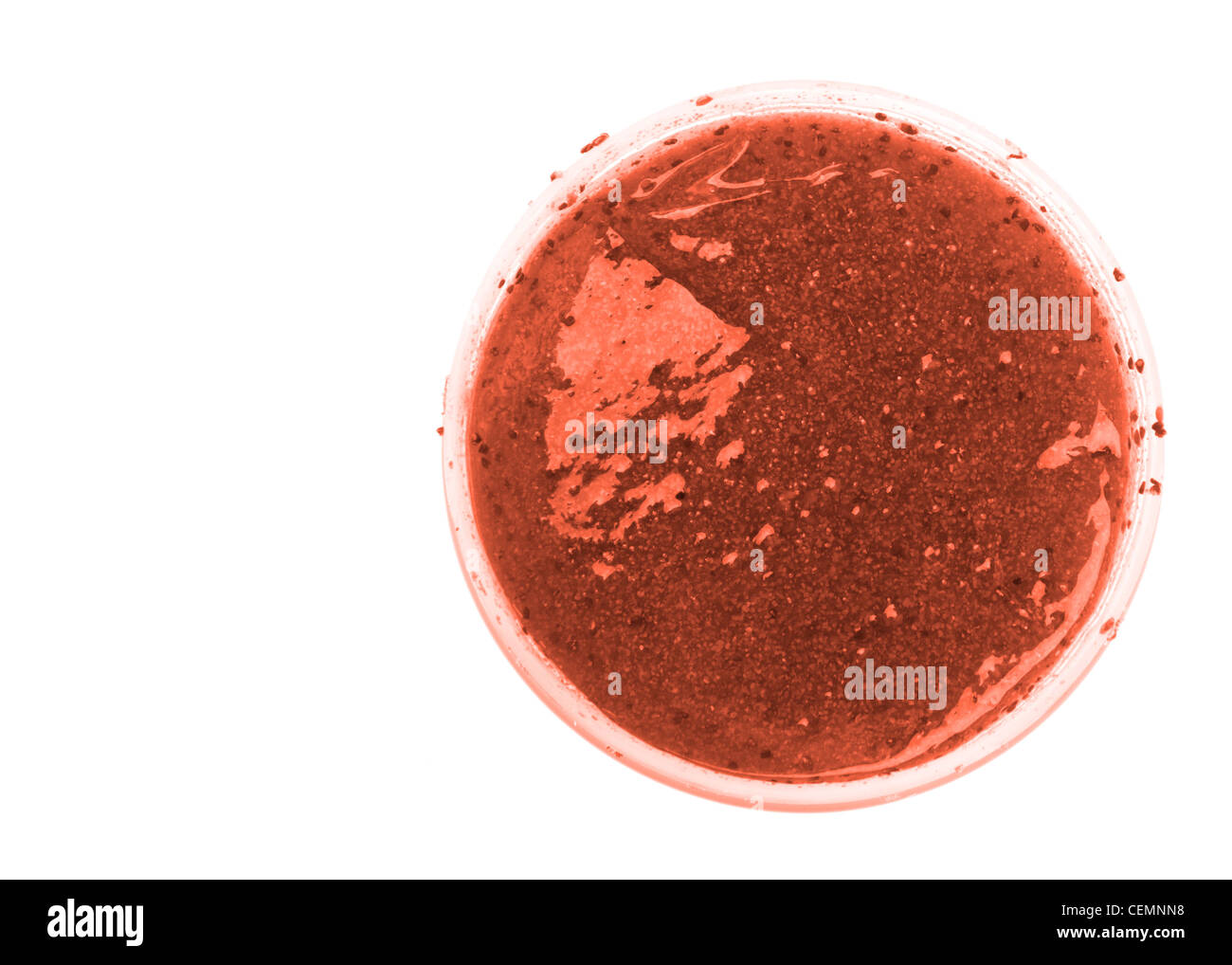 body scrub isolated on white background Stock Photo - Alamy