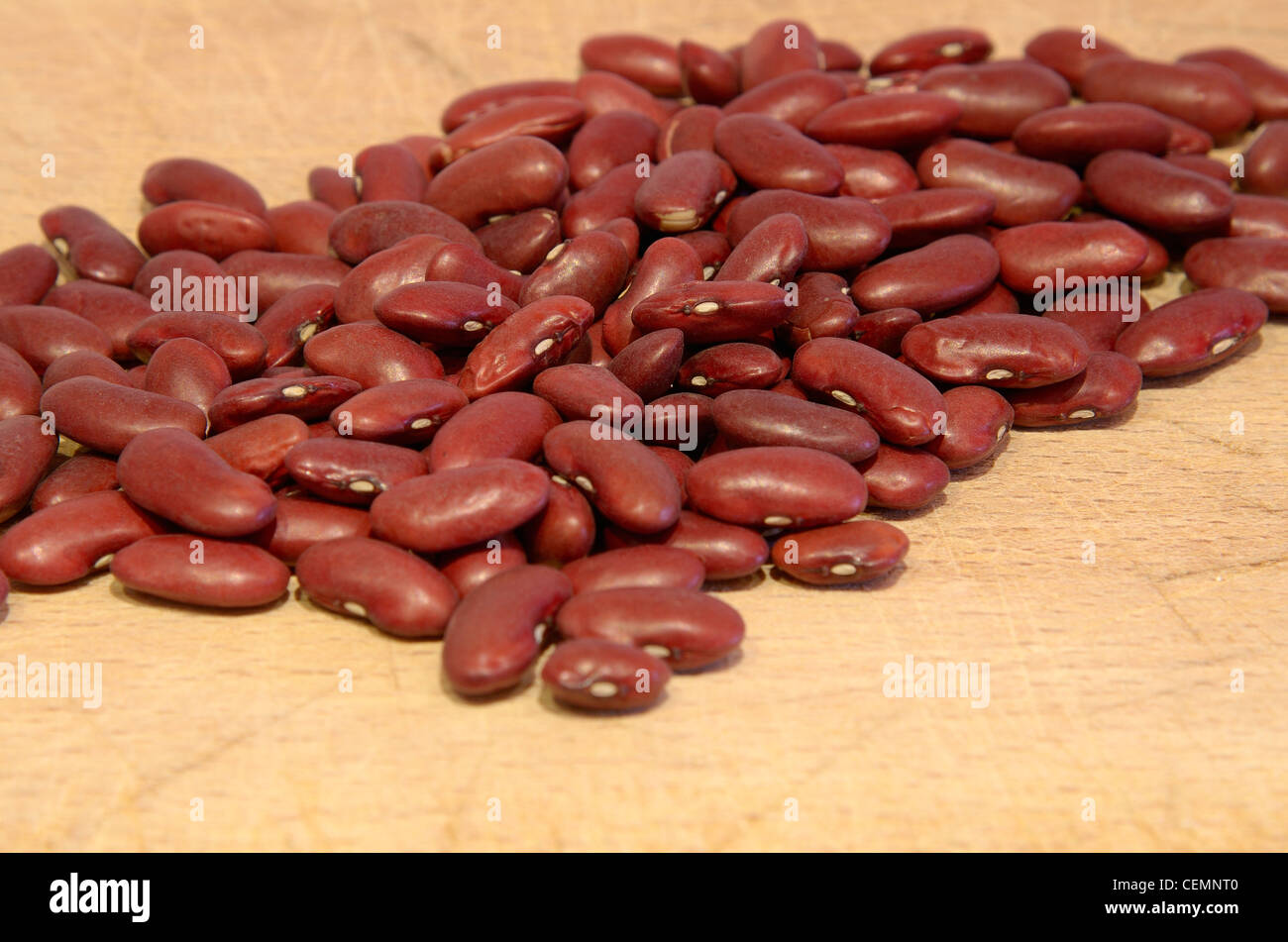 A close up of some dry red beans Stock Photo - Alamy