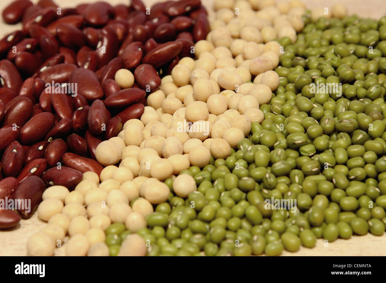 Some rows of different dry beans Stock Photo - Alamy