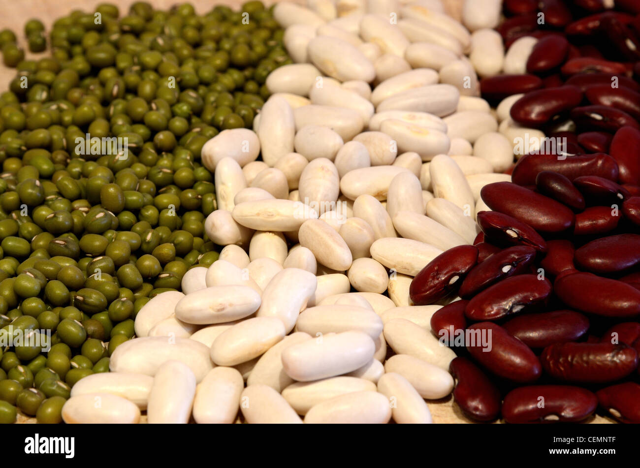 Some rows of different dry beans Stock Photo - Alamy