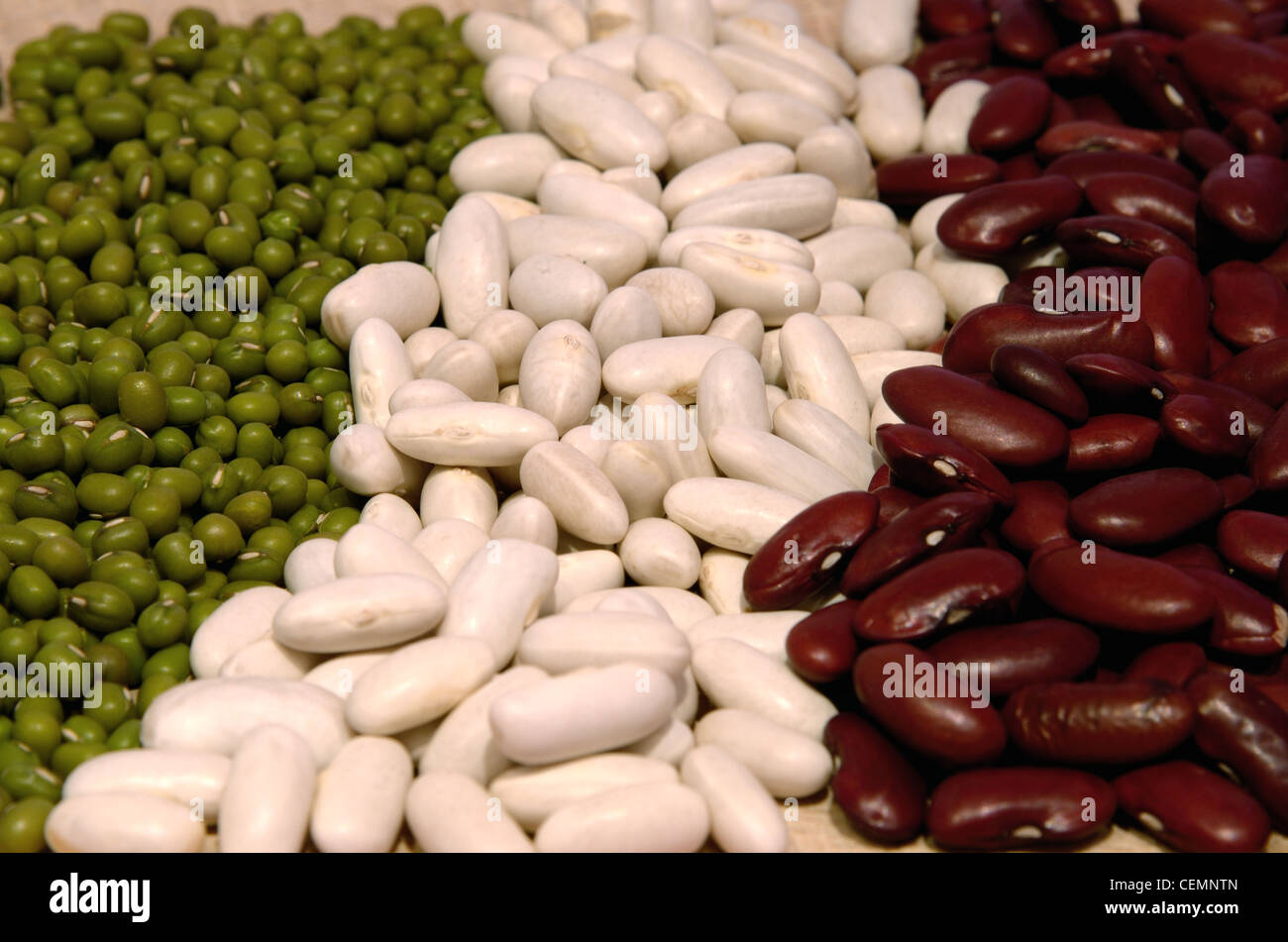 Some rows of different dry beans Stock Photo - Alamy