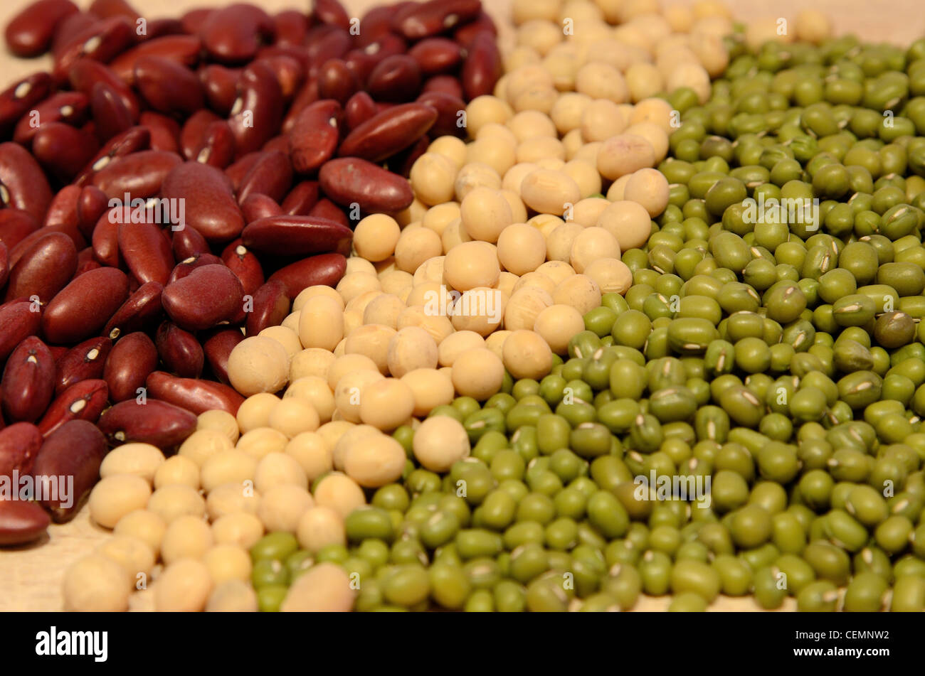 Some rows of different dry beans Stock Photo - Alamy