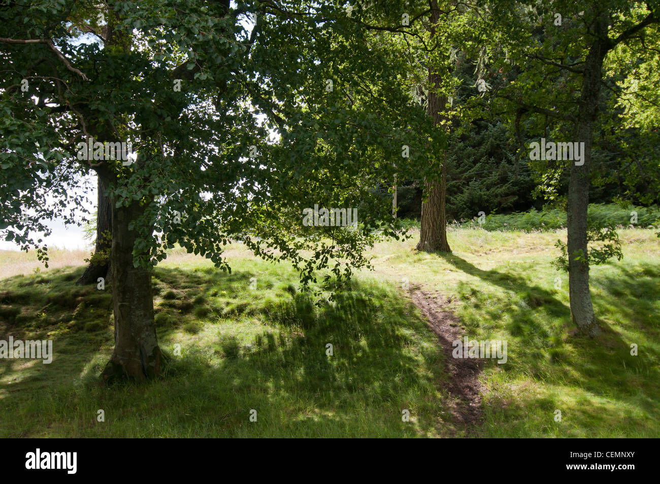 Path through borders hi-res stock photography and images - Alamy