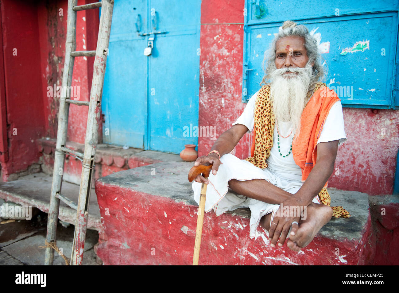 Portrait of a Sadhu Stock Photo - Alamy