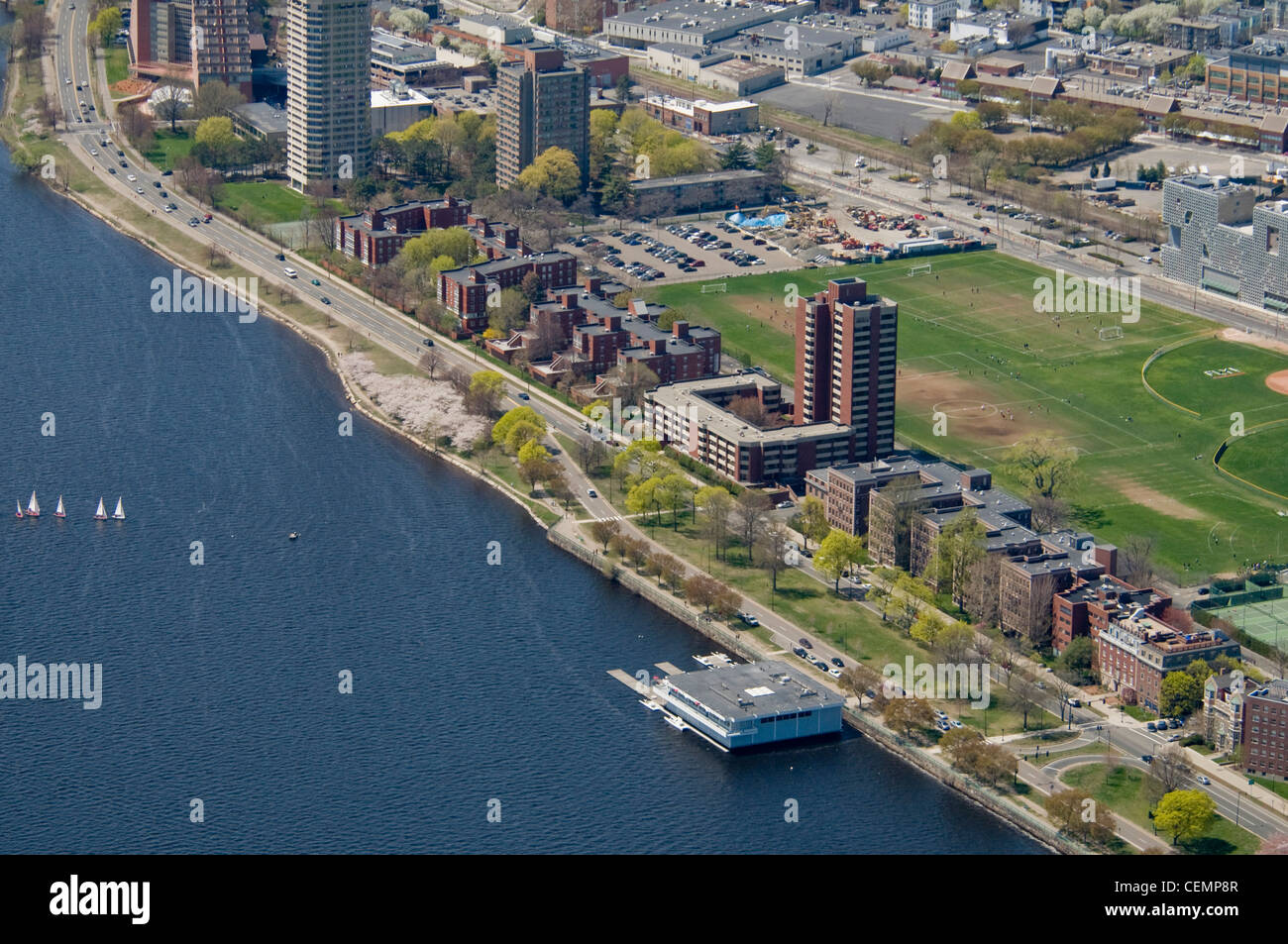 Delta sigma theta hi-res stock photography and images - Alamy