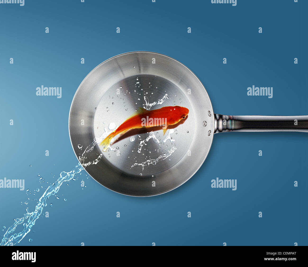 Golden fish jumping to frying pan, great opportunities, Good hunting ...