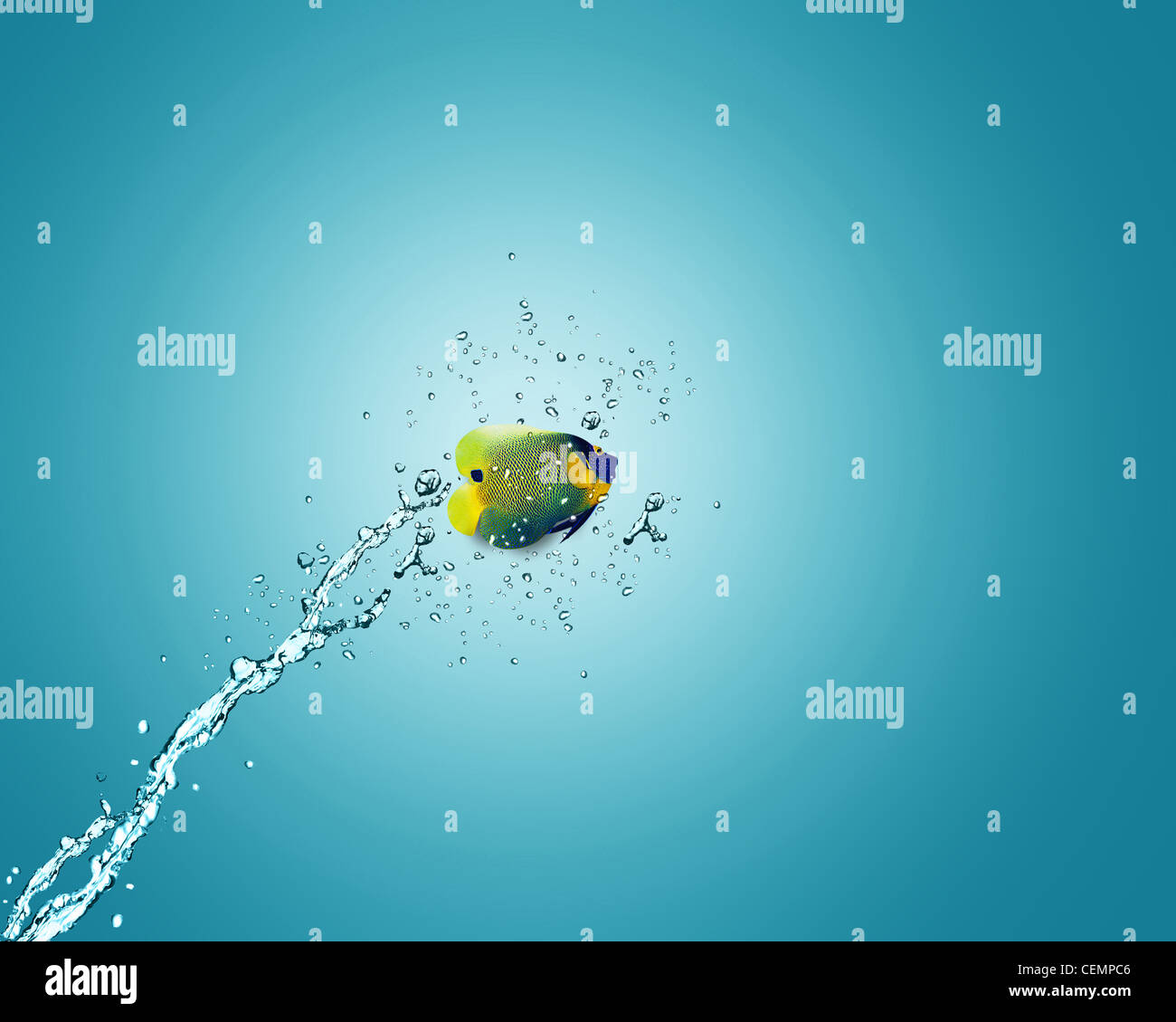 Flying fish with cou cou hi-res stock photography and images - Alamy
