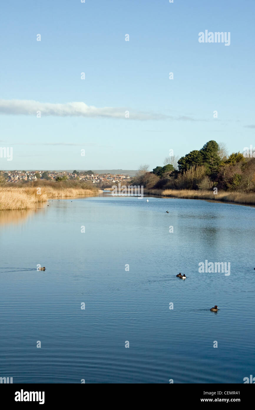 View of Radipole nature reserve ,Weymouth Stock Photo - Alamy