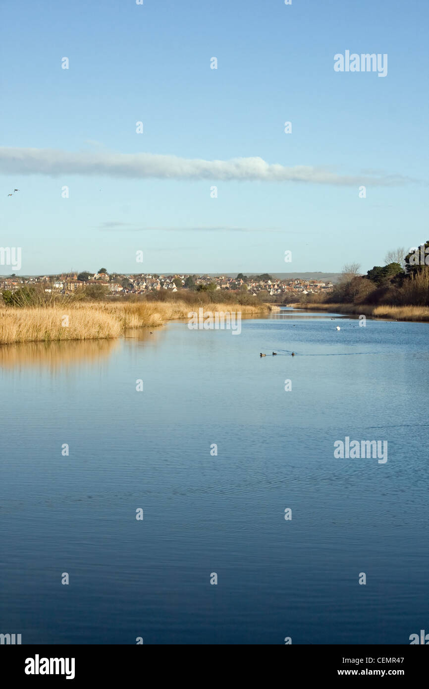 Radipole lake nature reserve Stock Photo - Alamy