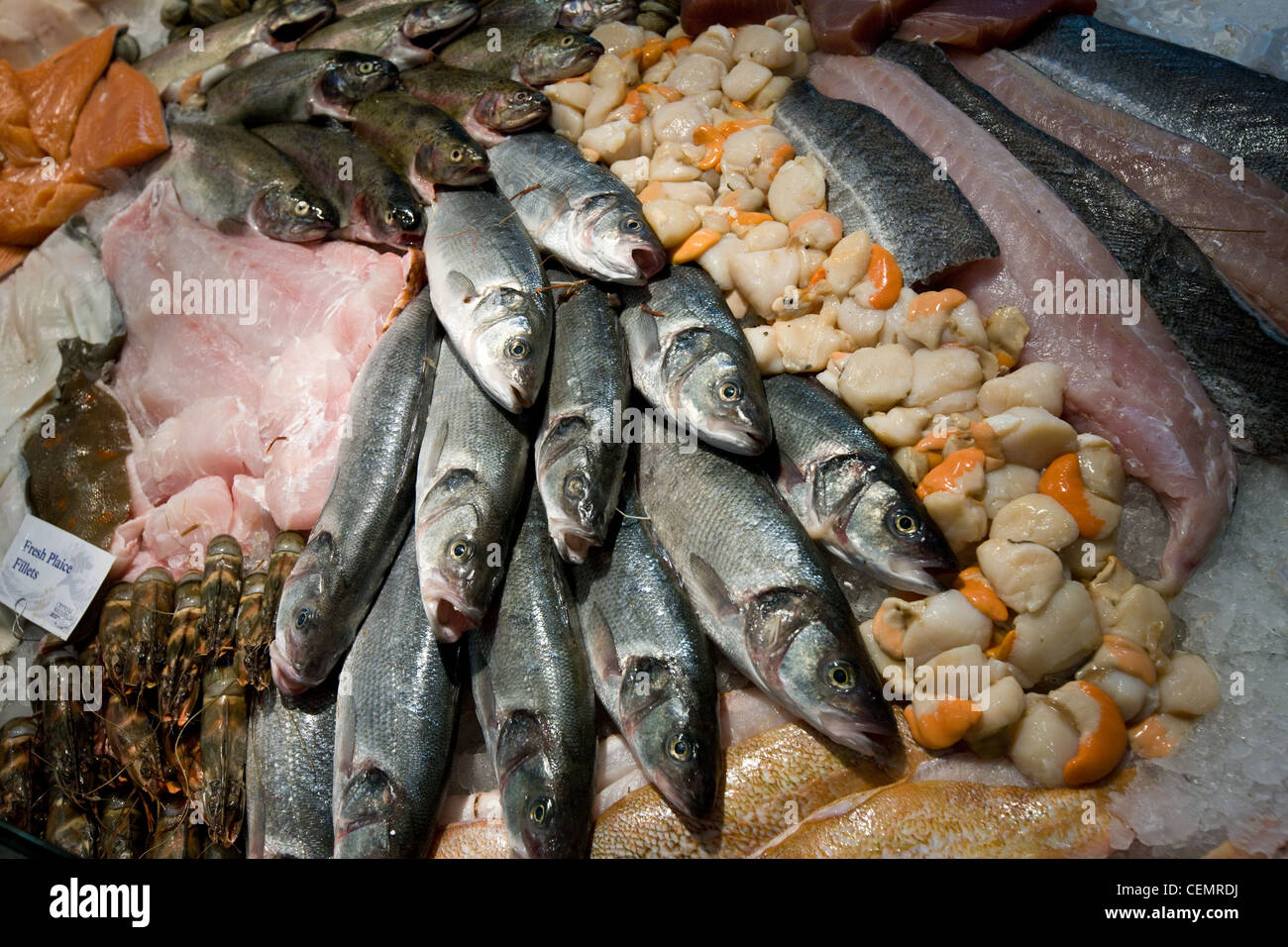 Wet Fish display in a fish shop Stock Photo - Alamy