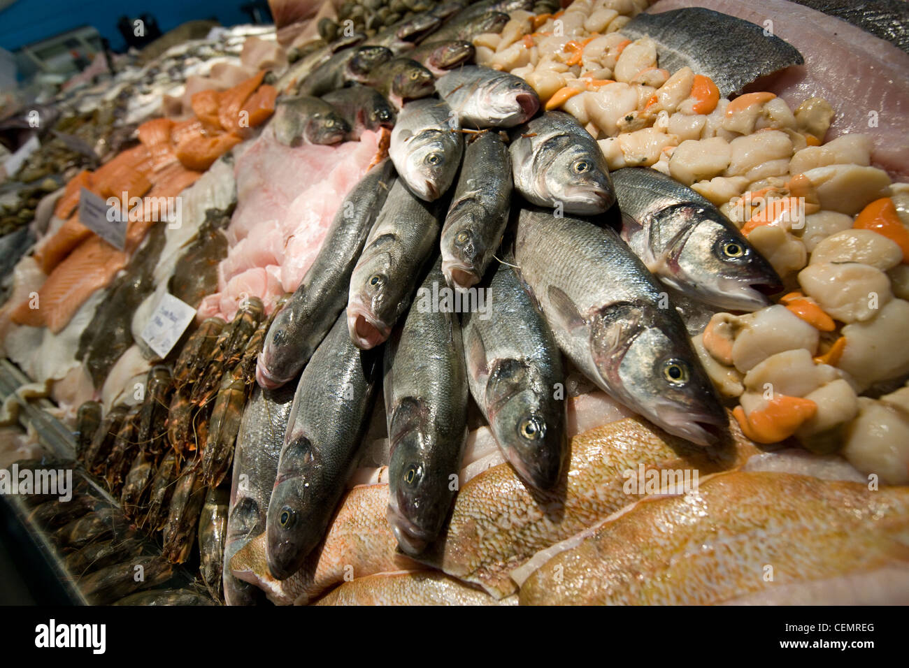 Wet Fish display in a fish shop Stock Photo - Alamy