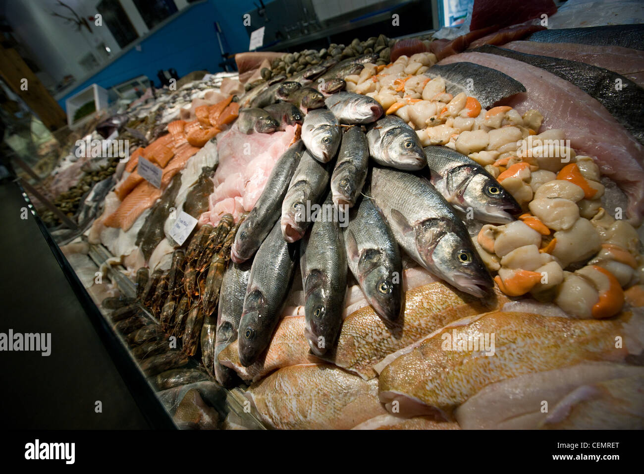 Wet Fish display in a fish shop Stock Photo - Alamy