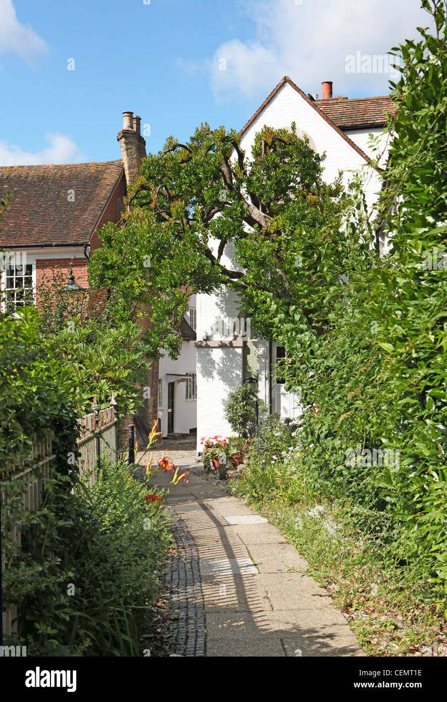 Medieval rye hi-res stock photography and images - Alamy