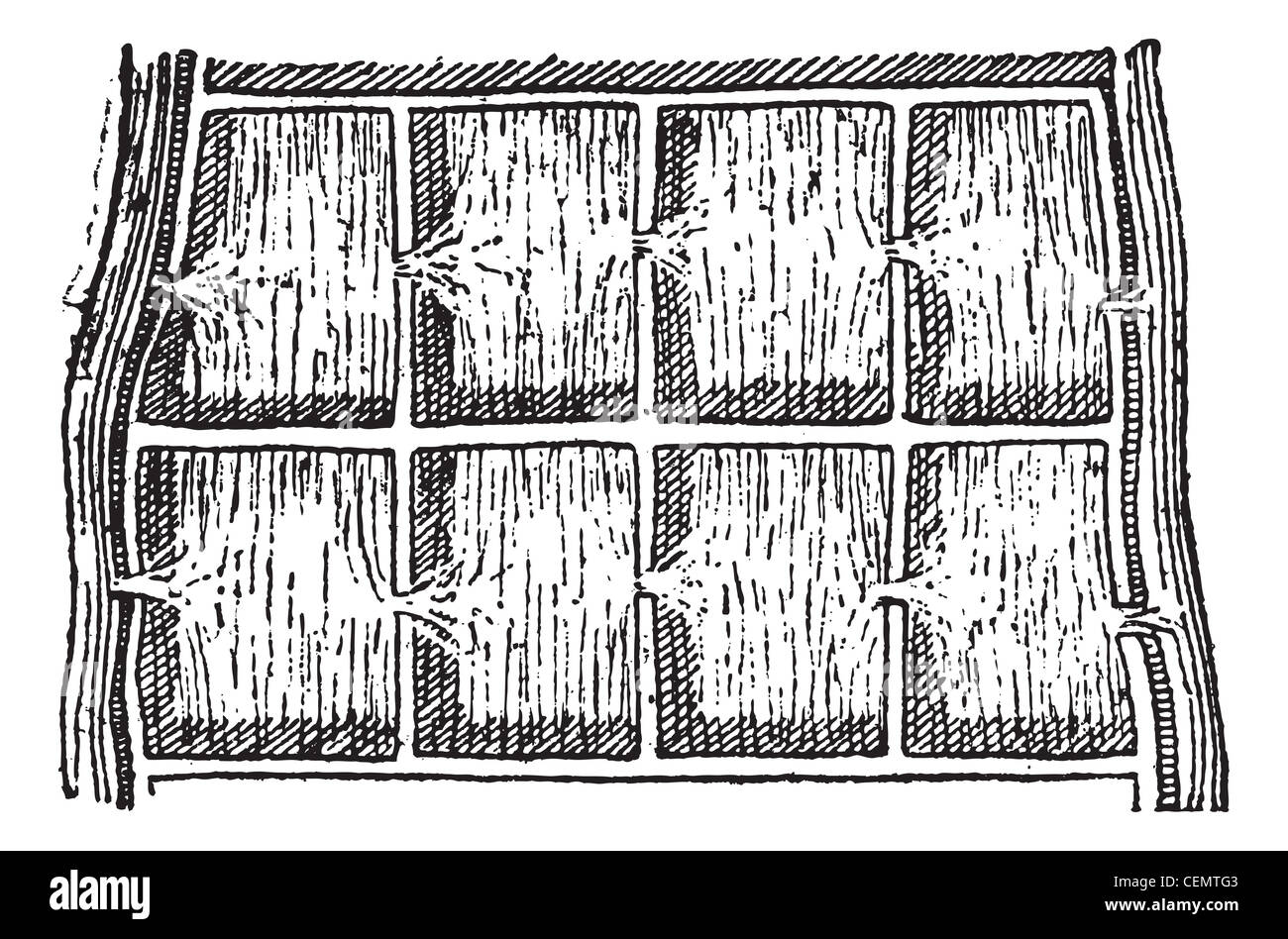 Rice field water channel Cut Out Stock Images & Pictures - Alamy