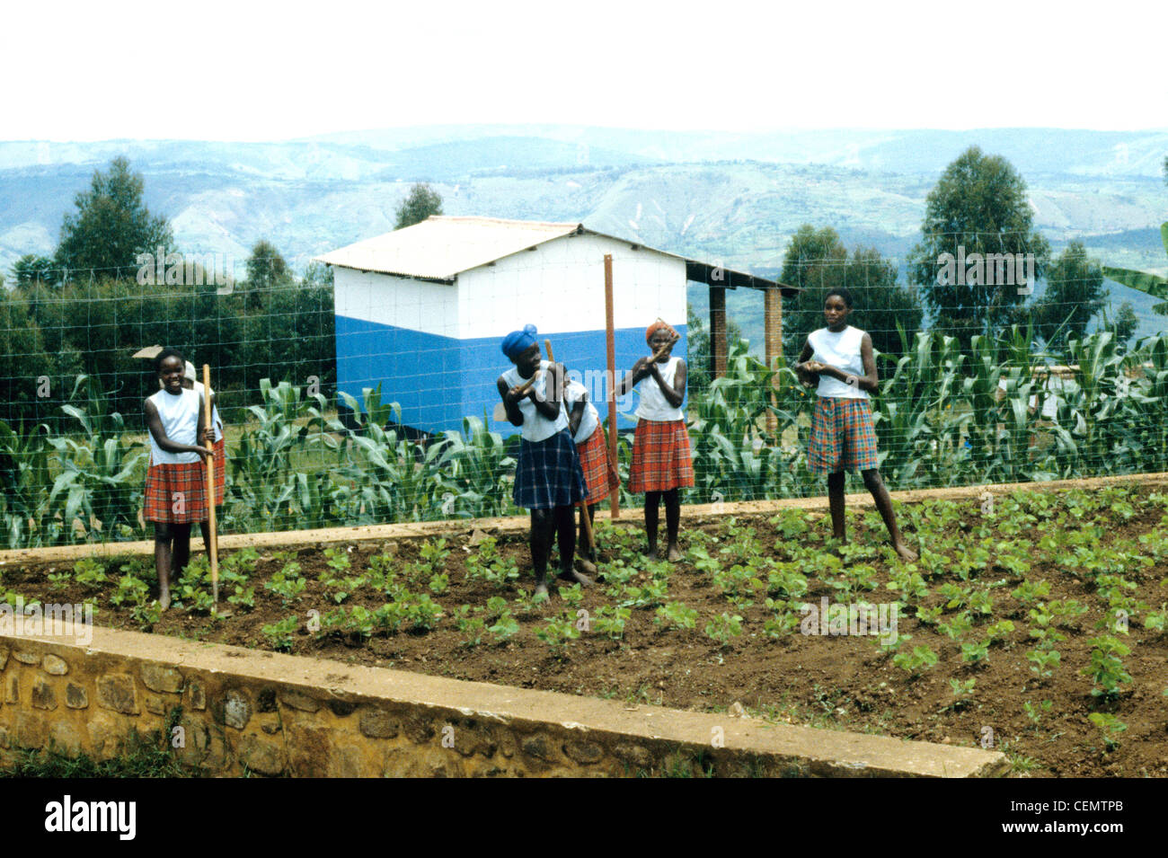 School children garden in Rwanda Stock Photo - Alamy