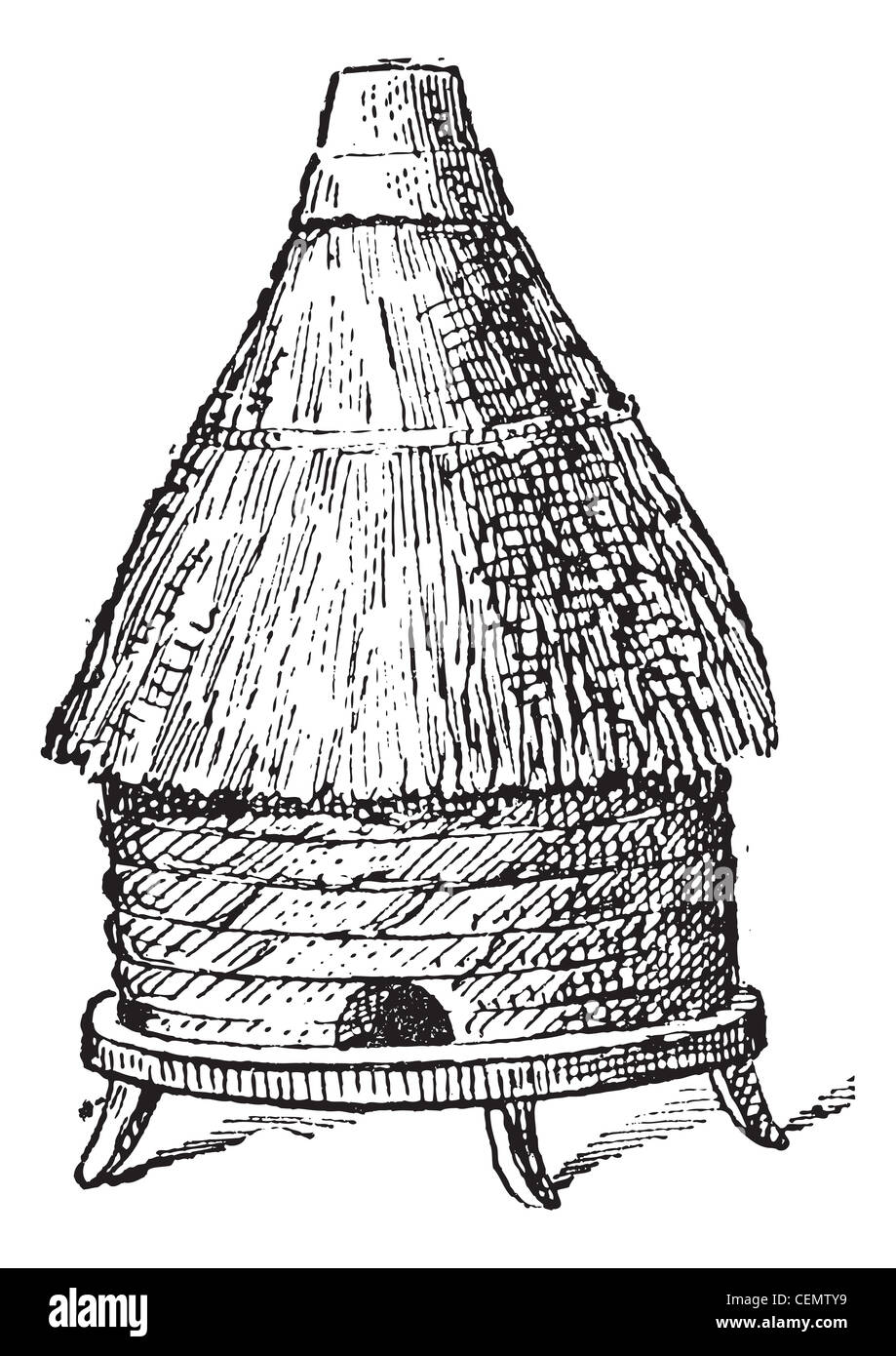 Common hive, vintage engraved illustration. Dictionary of words and ...