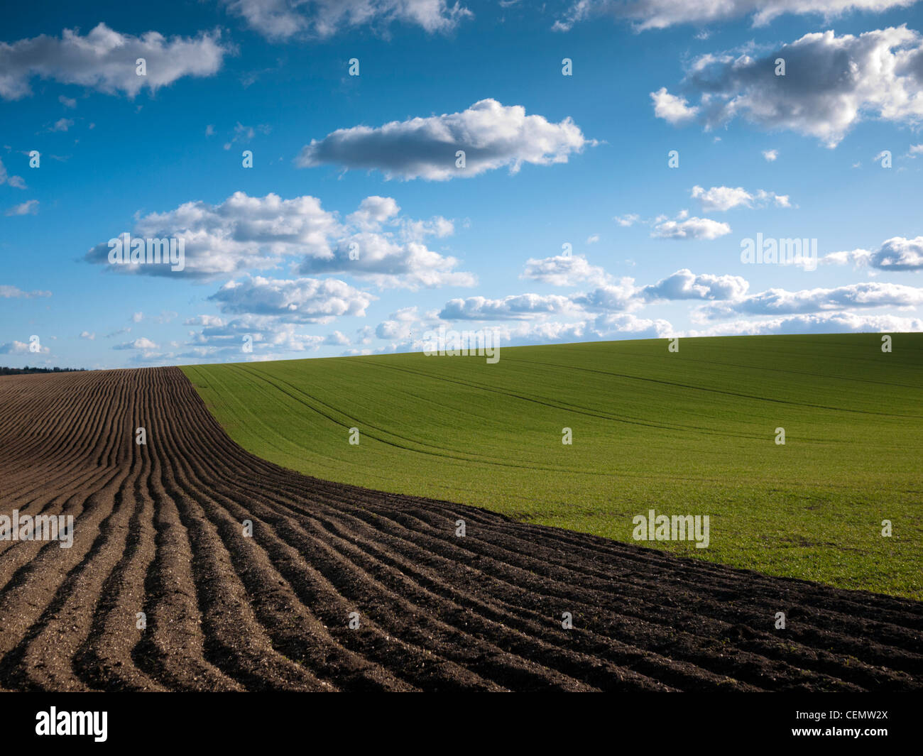 Rural East Anglia Stock Photos & Rural East Anglia Stock Images - Alamy