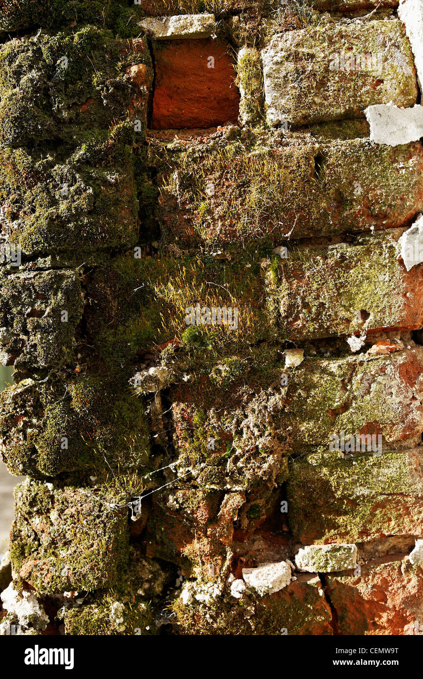 A close up of a decaying brick wall Stock Photo - Alamy