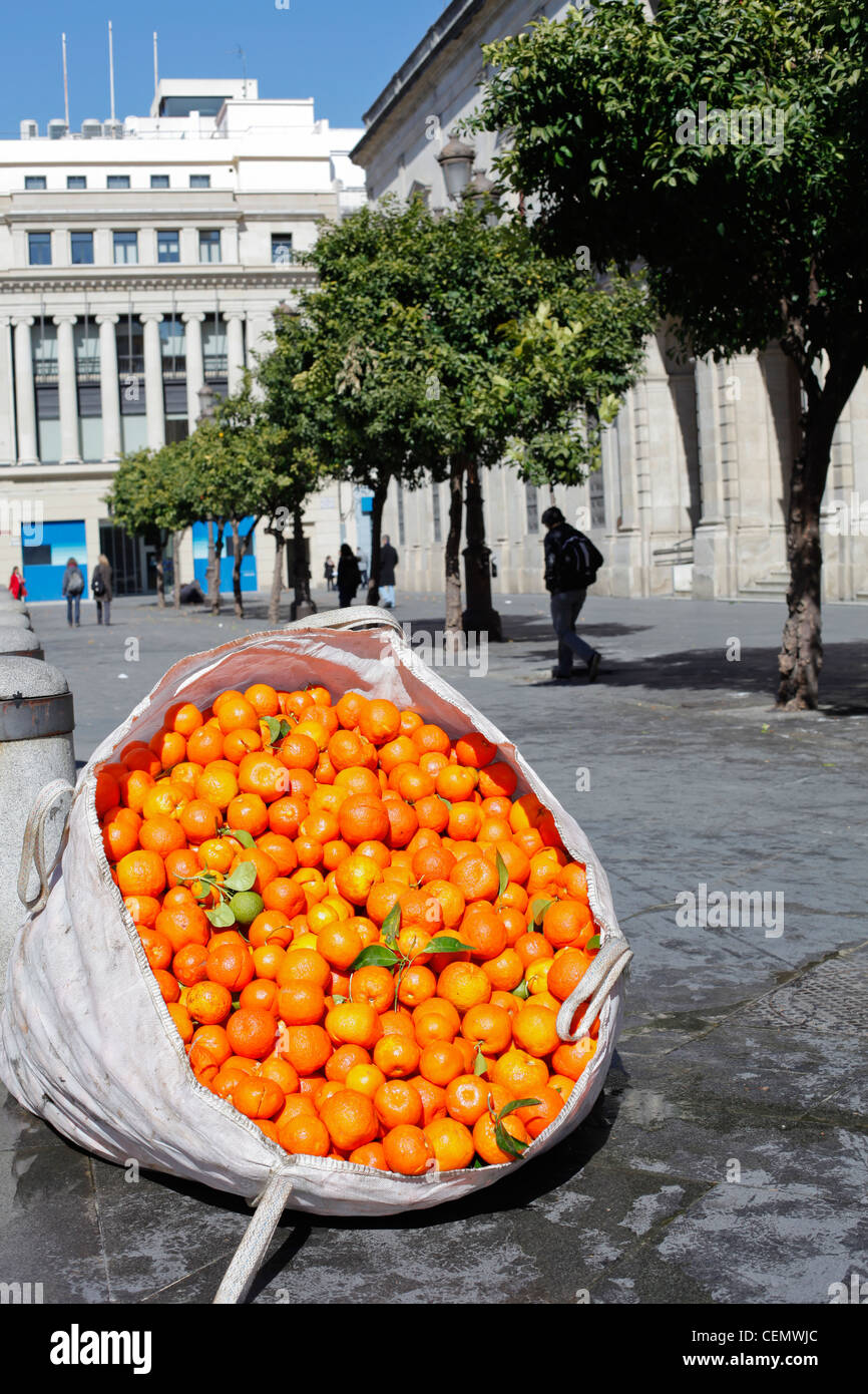 Big oranges hi-res stock photography and images - Alamy