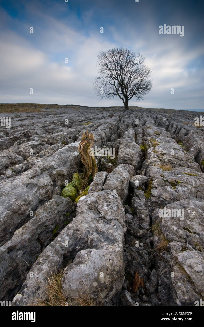 Limestone Pavement at Malham in the Yorkshire Dales National Park Stock ...
