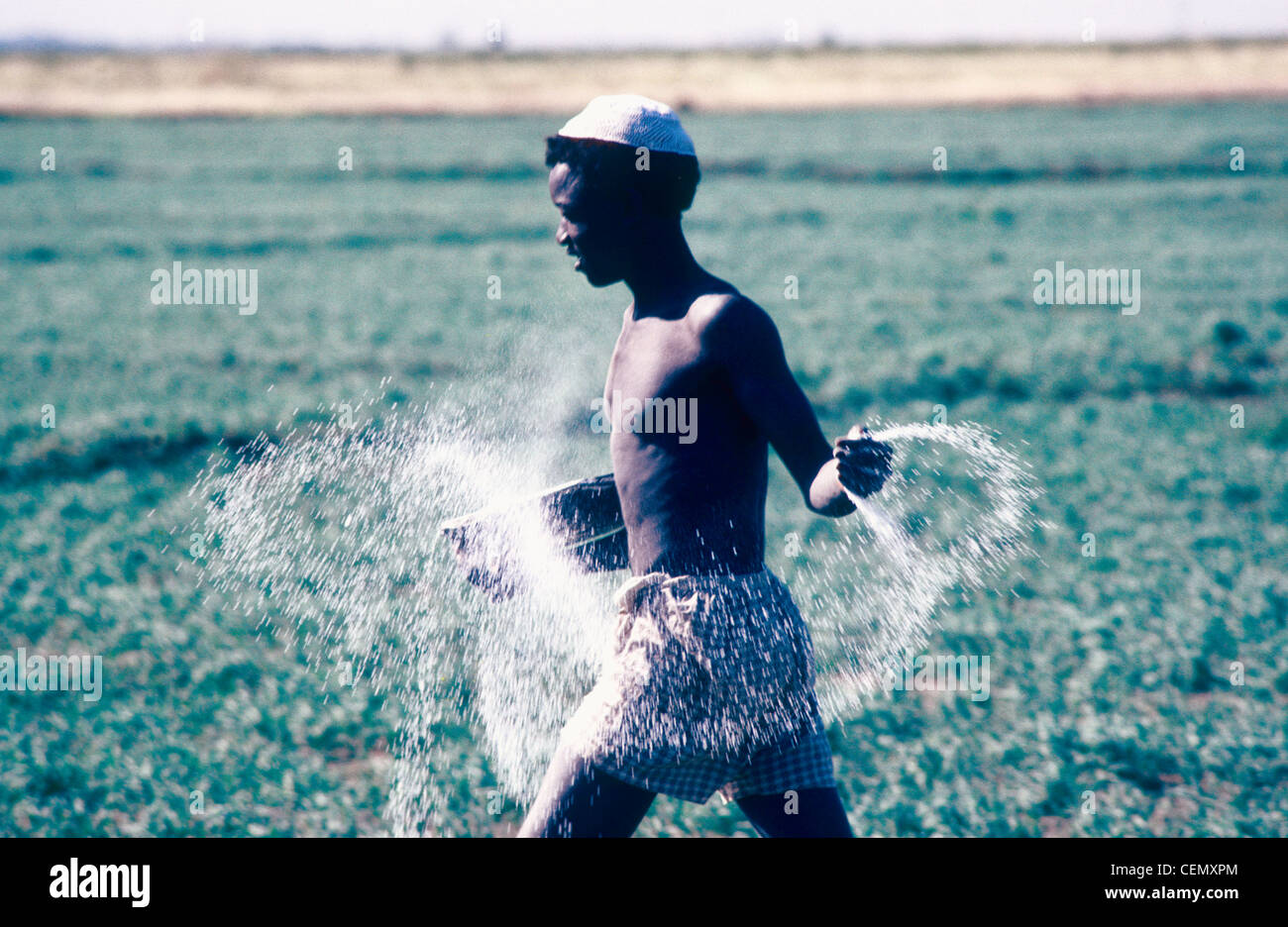 Sudan: A young farm spreads fertilizer on the land Stock Photo - Alamy