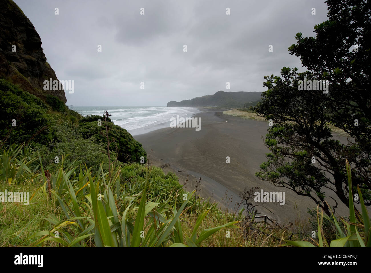 Piha Beach Auckland High Resolution Stock Photography and Images - Alamy
