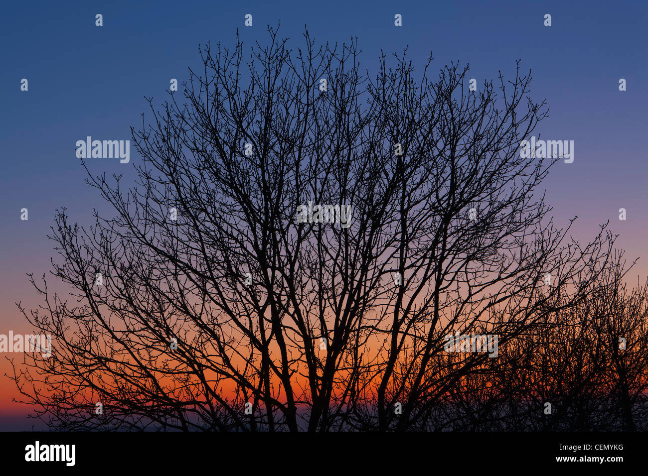 Polden Ridge Sunset Stock Photo - Alamy