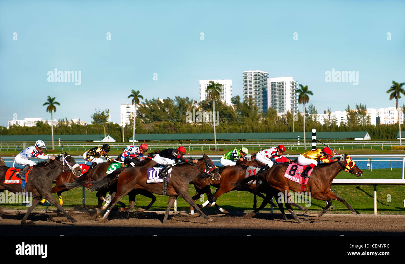 Gulfstream park hi-res stock photography and images - Alamy