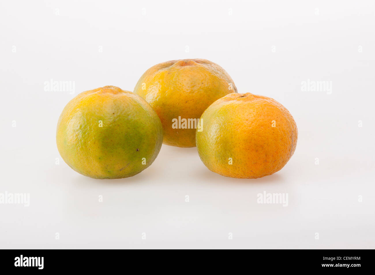 Three oranges arranged on a white background Stock Photo - Alamy