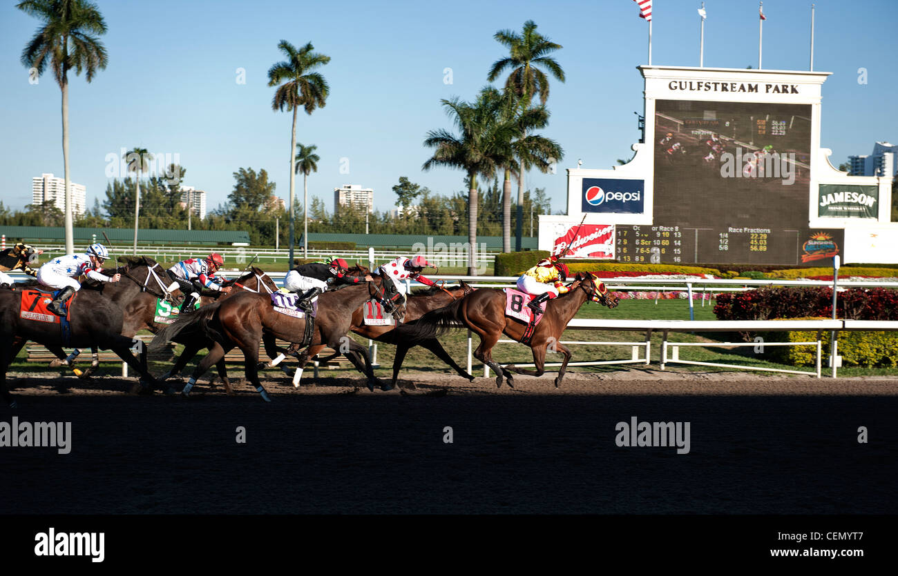 jockeys riding horses in race Stock Photo - Alamy