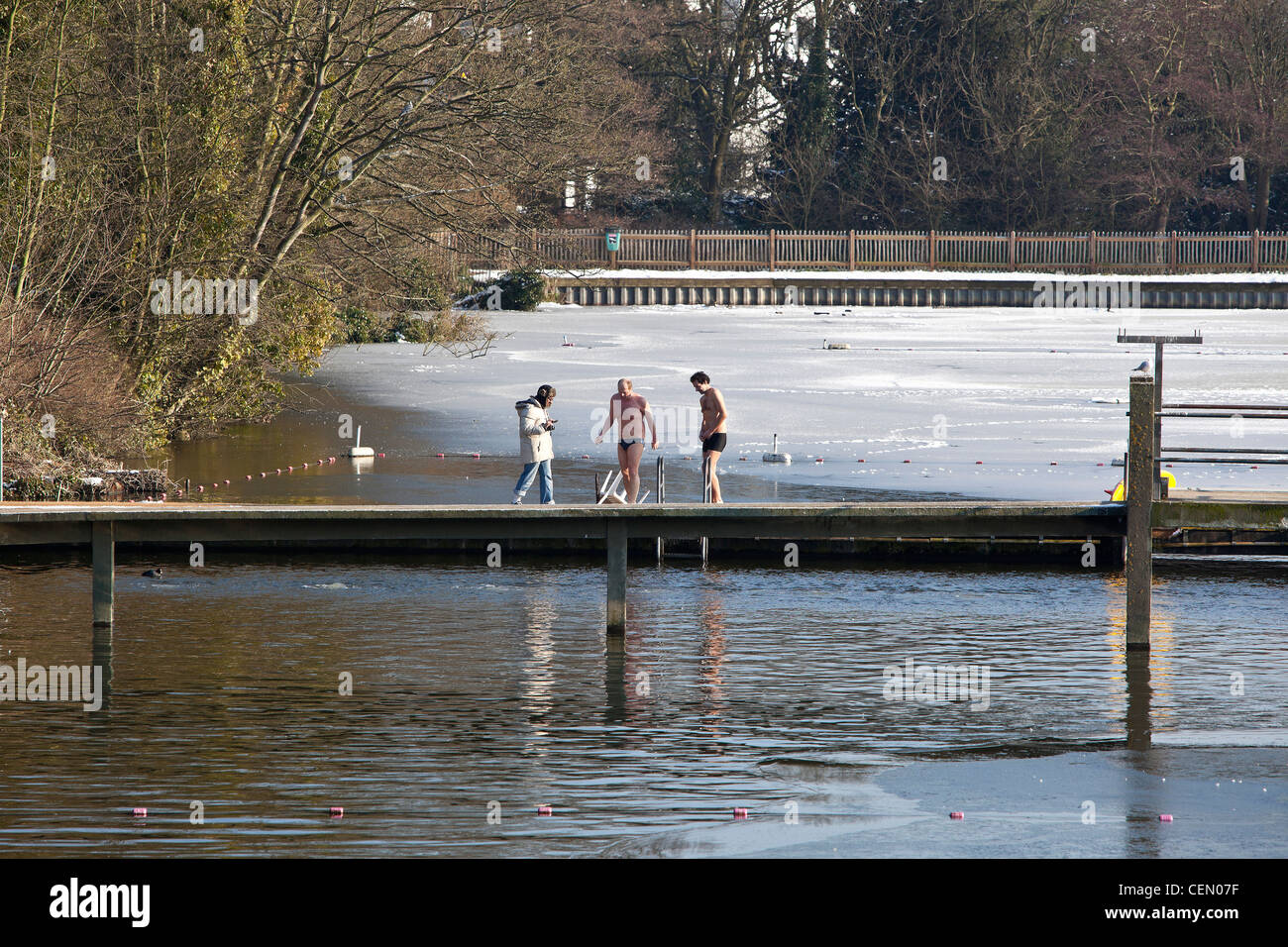Hampstead Heath men's swimming pond, Highgate, London, England, UK ...